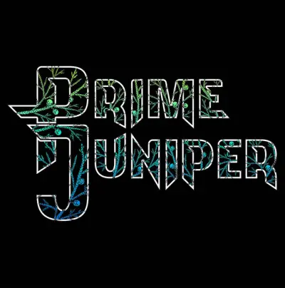 Prime Juniper - discography, line-up, biography, interviews, photos